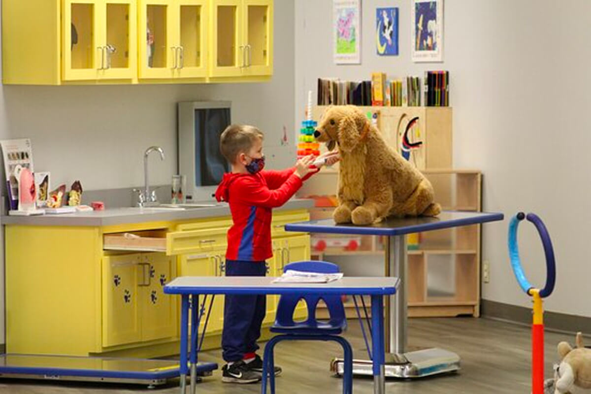 Claws and Paws » Zing Zumm