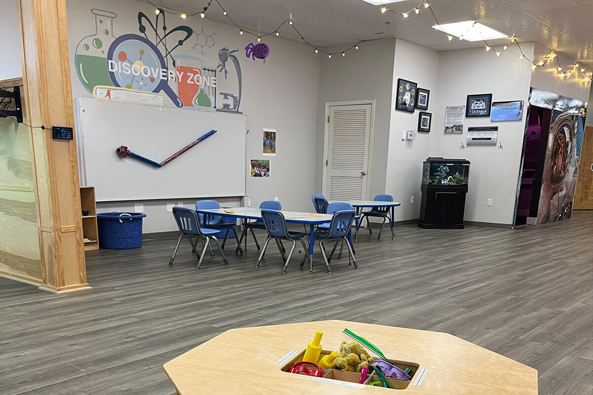 The Discovery Zone » Zing Zumm